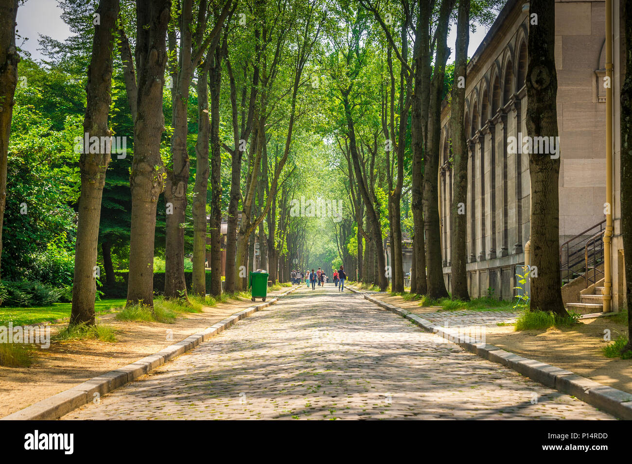 The wide, tree lined streets of Père Lachaise Cemetery are a perfect ...