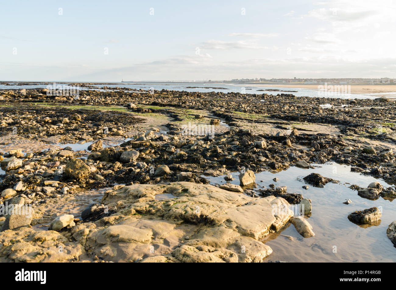 Rocks at Whitburn Beach, Whitburn Stock Photo - Alamy