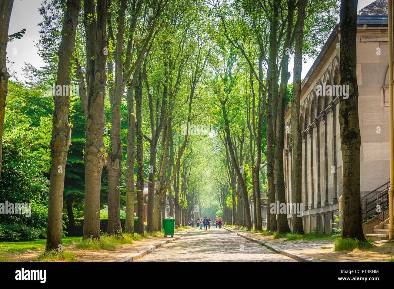 The wide, tree lined streets of Père Lachaise Cemetery are a perfect ...