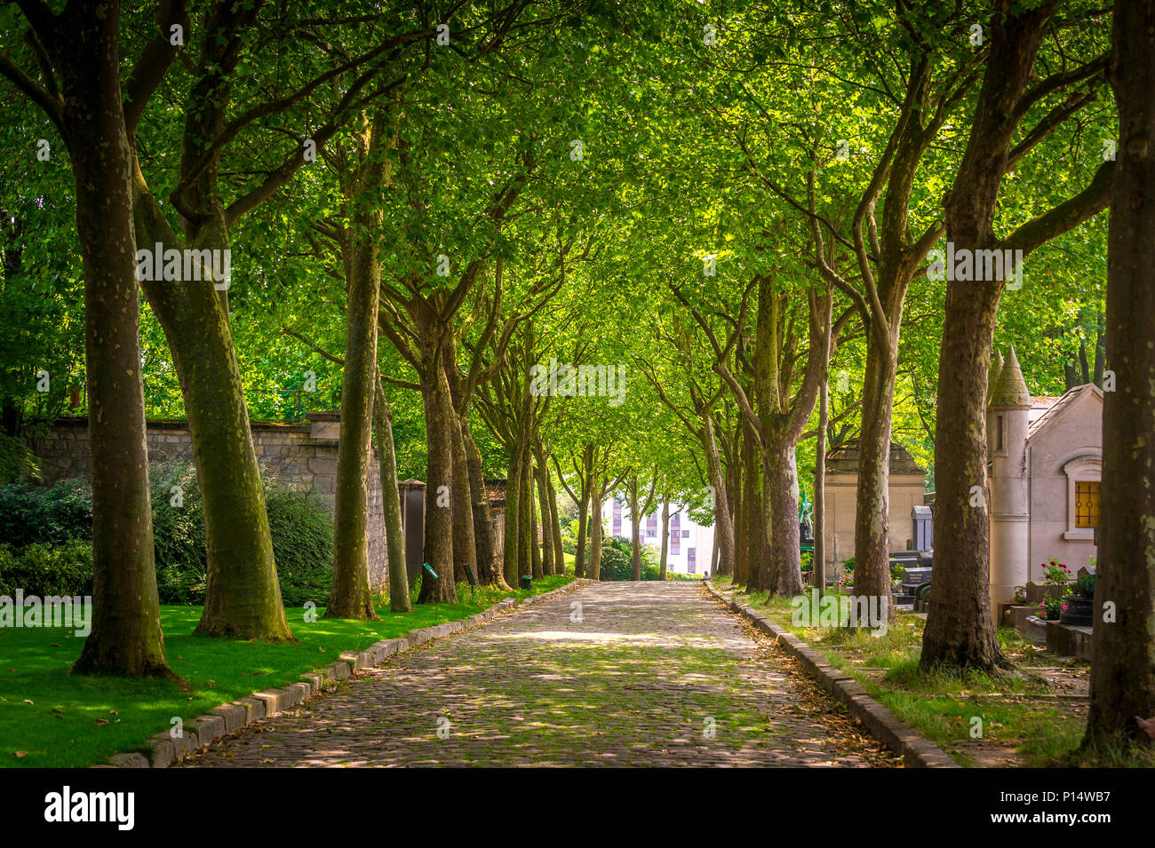 The wide, tree lined streets of Père Lachaise Cemetery are a perfect ...