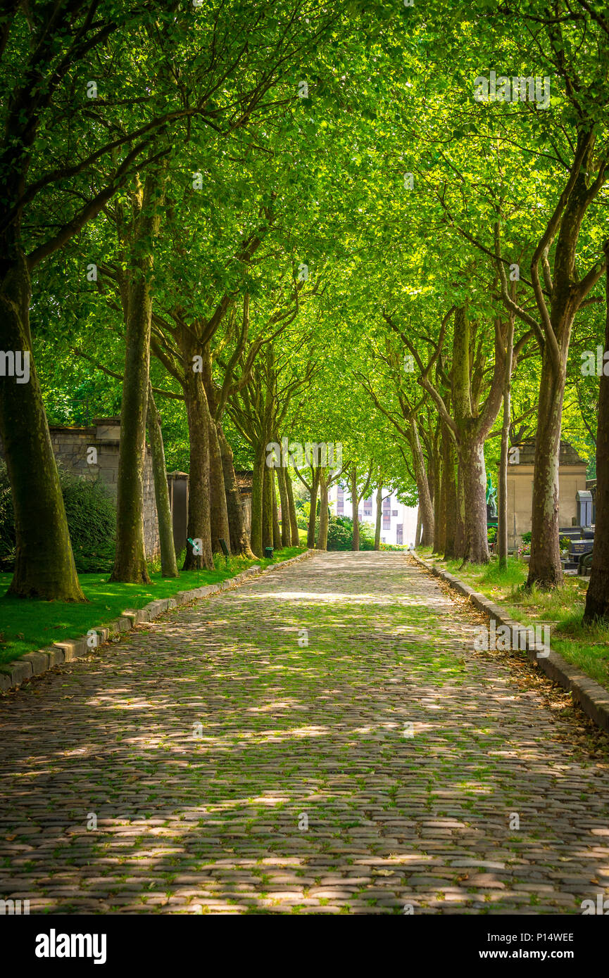 The wide, tree lined streets of Père Lachaise Cemetery are a perfect ...