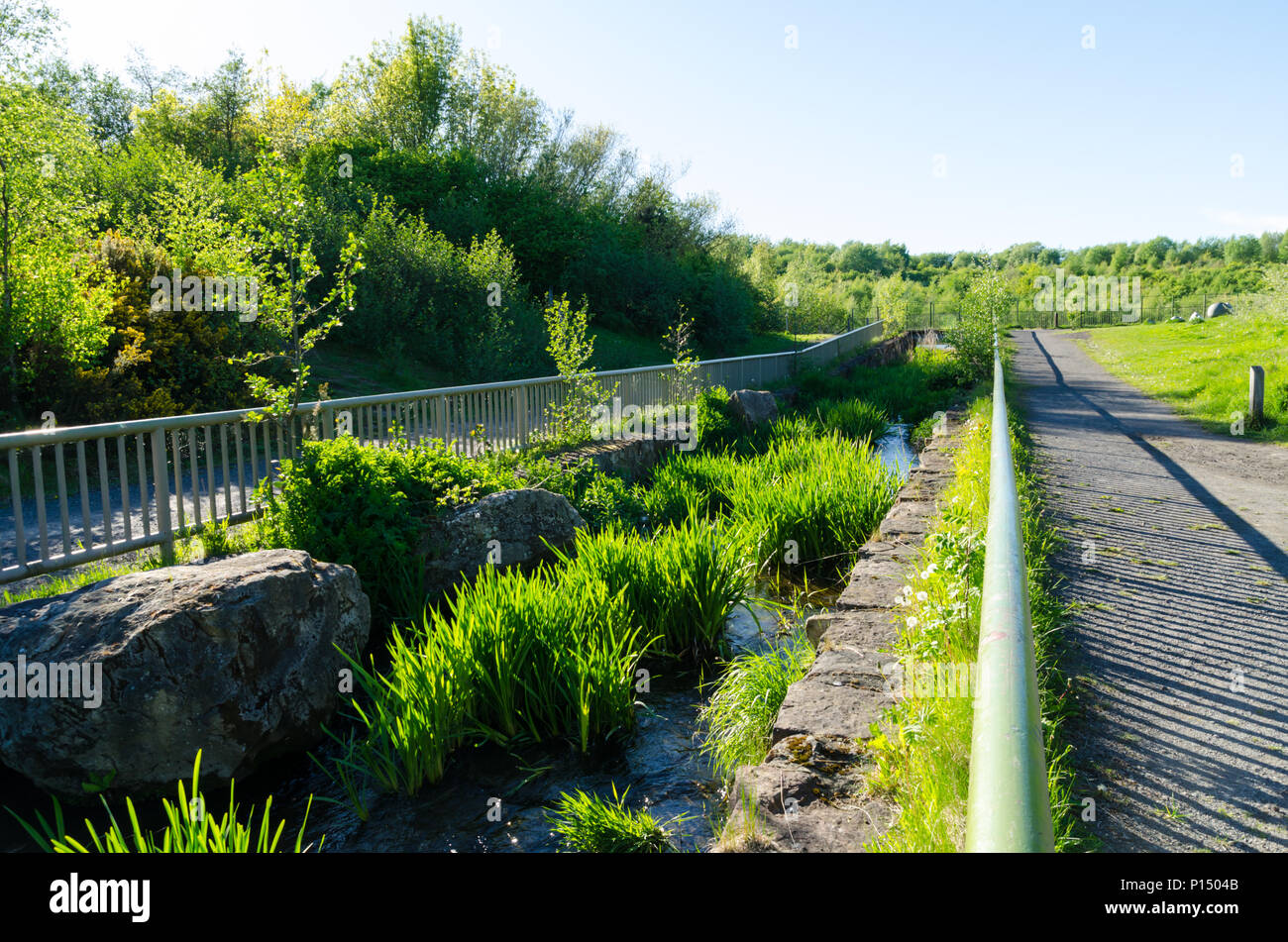 Waterford country park pathway hi-res stock photography and images - Alamy