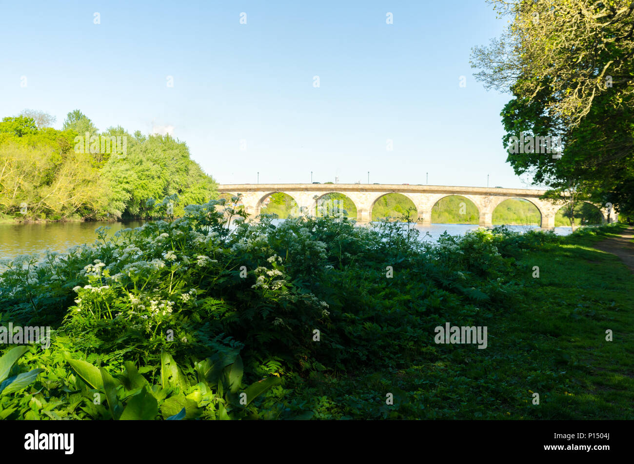 The River Tyne at Hexham, Northumberland Stock Photo - Alamy