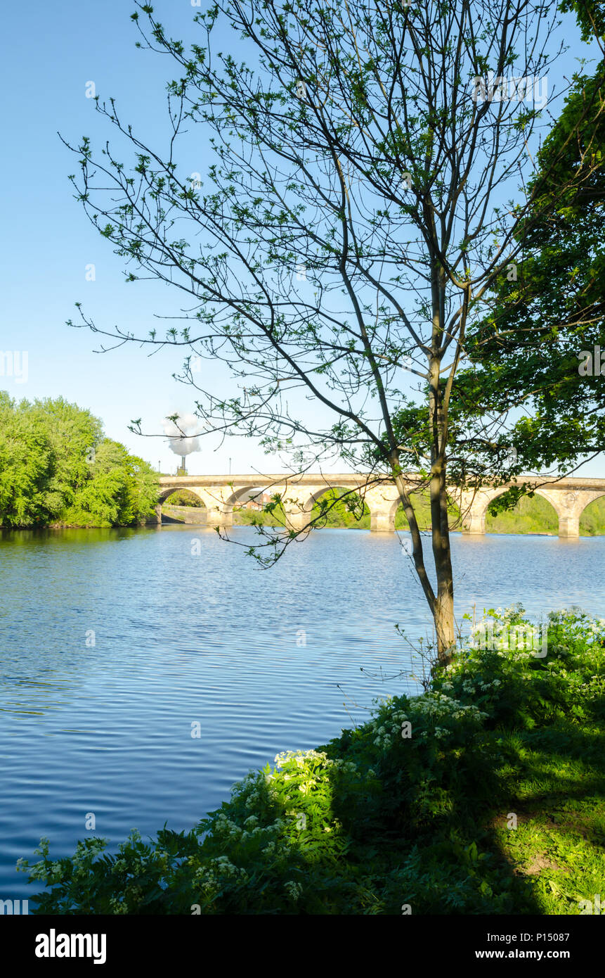 The River Tyne at Hexham, Northumberland Stock Photo - Alamy