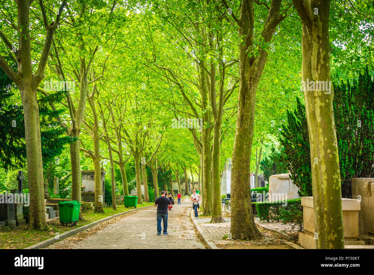 The wide, tree lined streets of Père Lachaise Cemetery are a perfect ...