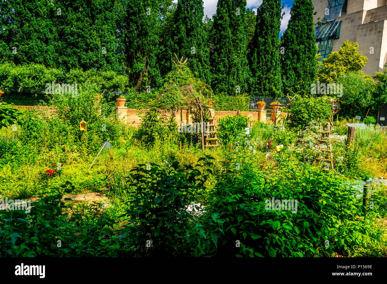 Parc de Bercy is a large and varied park in Paris, France Stock Photo ...