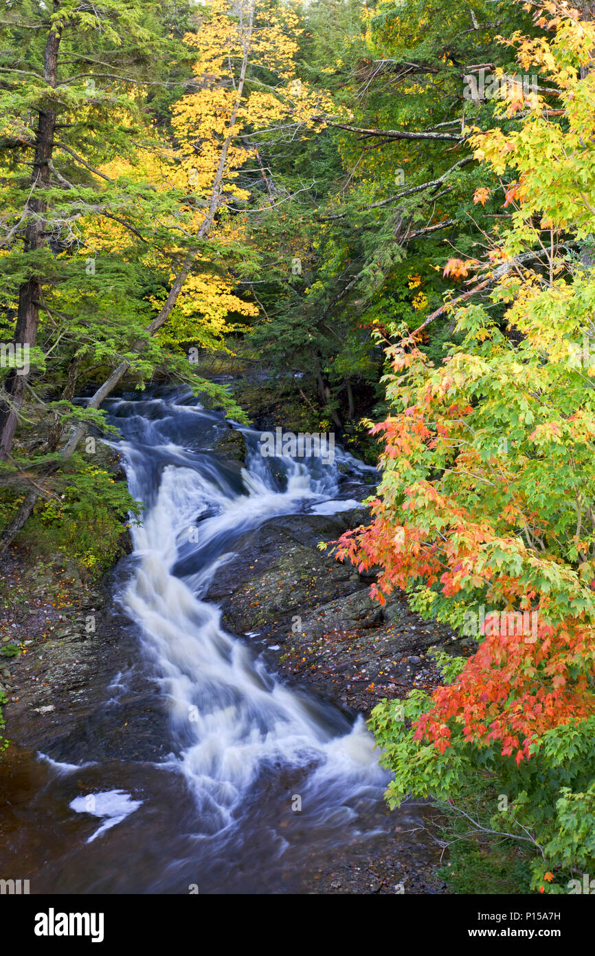 Cascading waterfall flows in the forest in autumn Stock Photo - Alamy