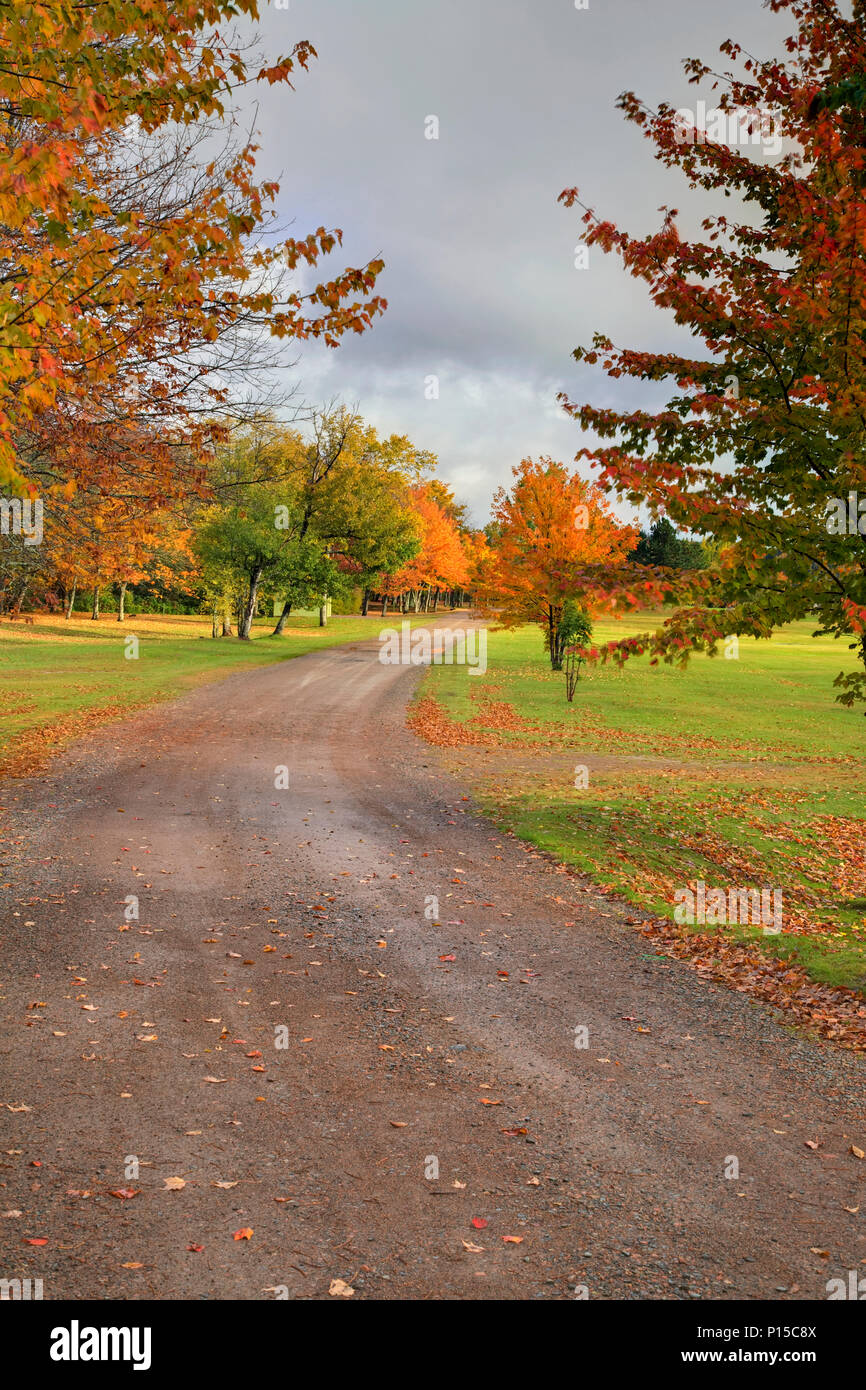 Rural country scene path winding hi-res stock photography and images ...