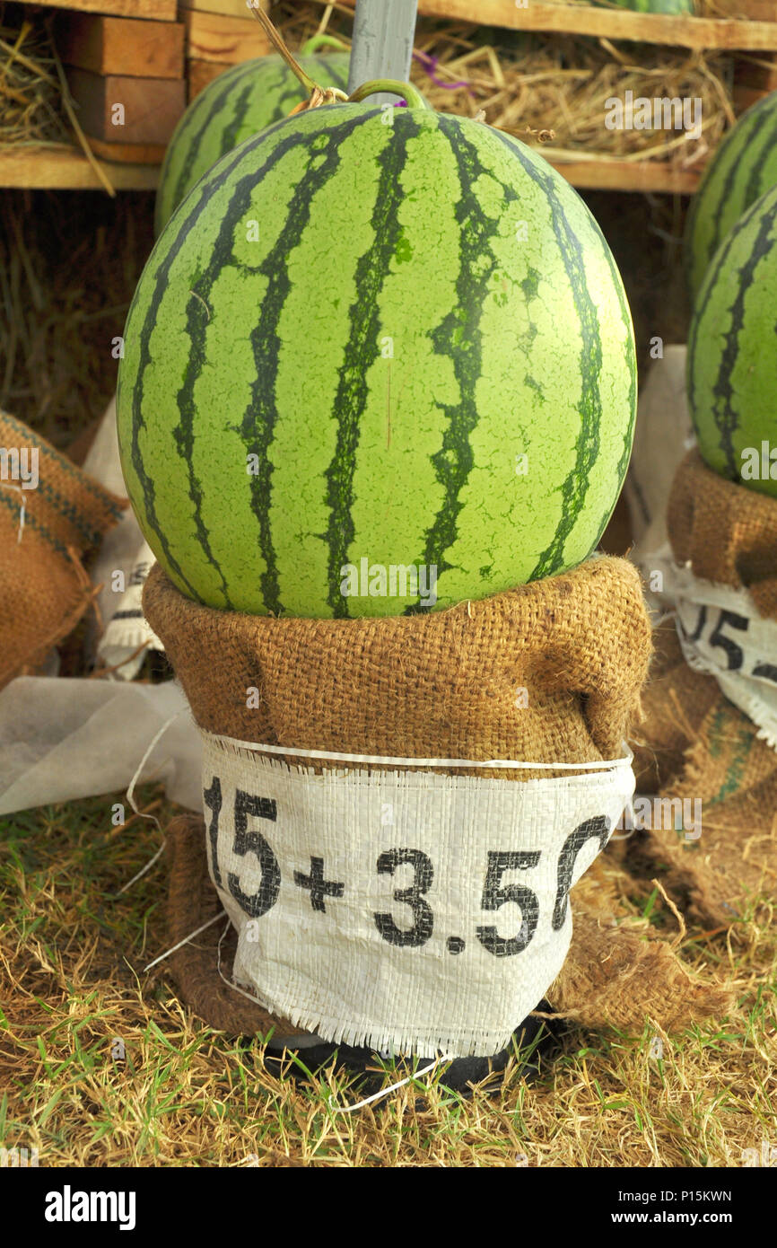 Bunch of watermelon hi-res stock photography and images - Alamy