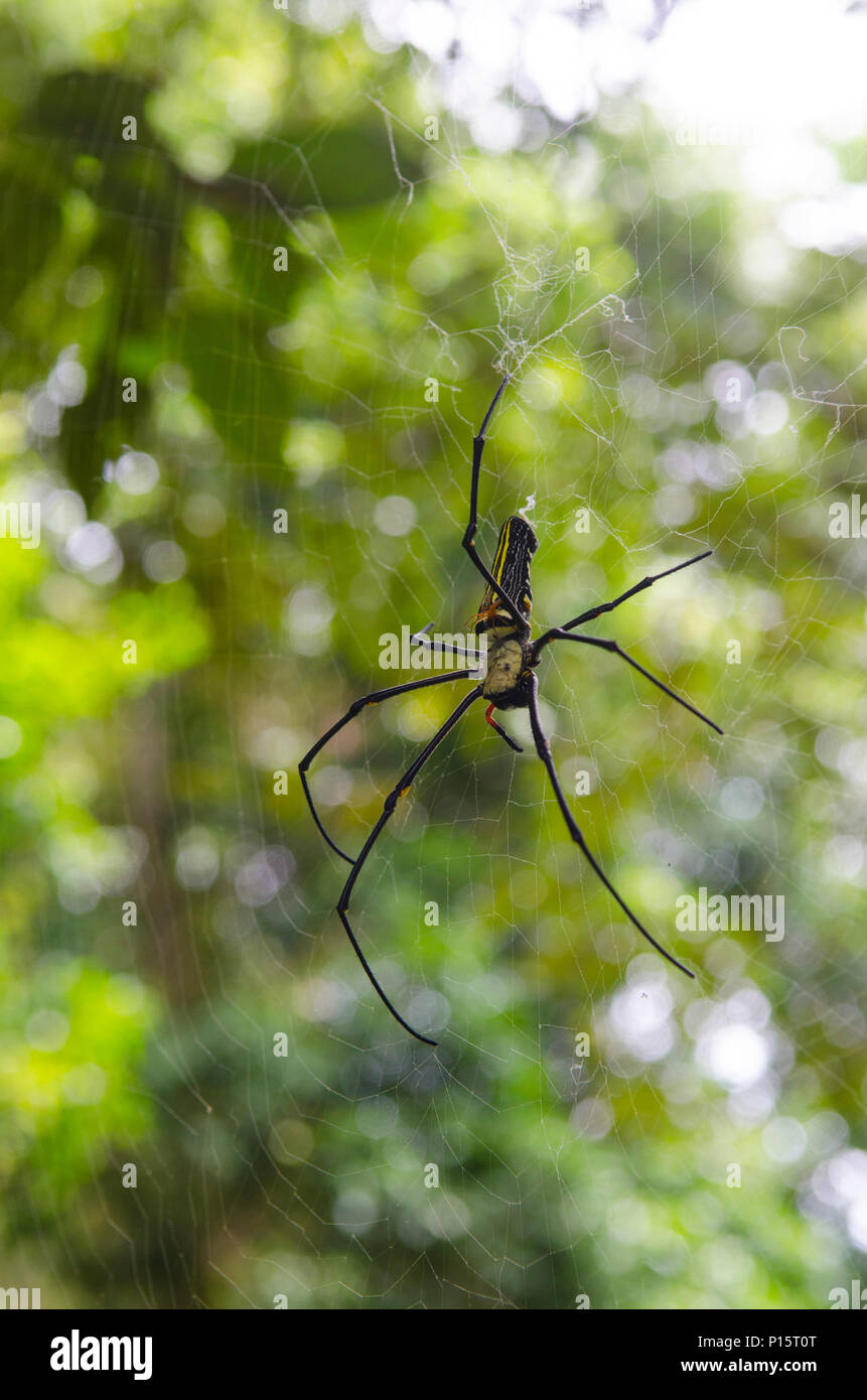 Strings and spheres hi-res stock photography and images - Alamy