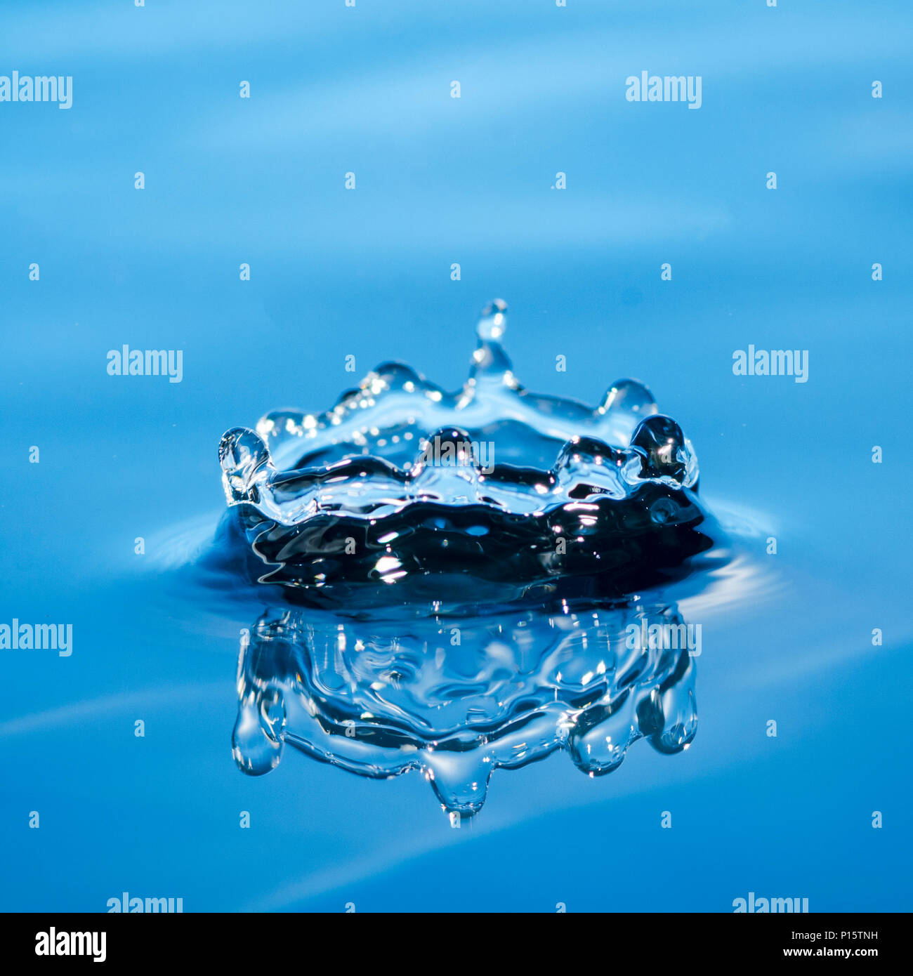 Water drop in sunlight Stock Photo - Alamy