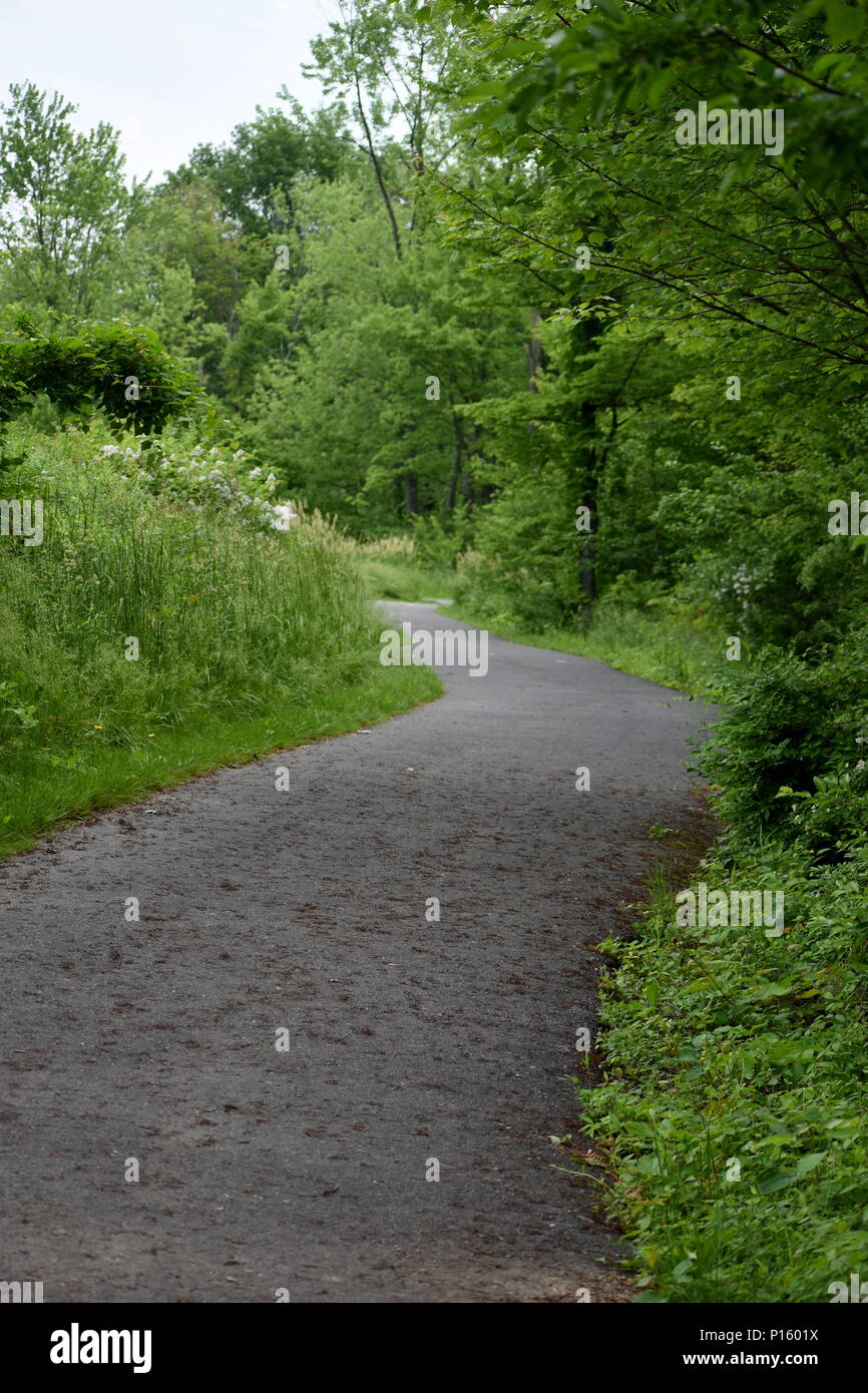 Beaten footpath hi-res stock photography and images - Alamy
