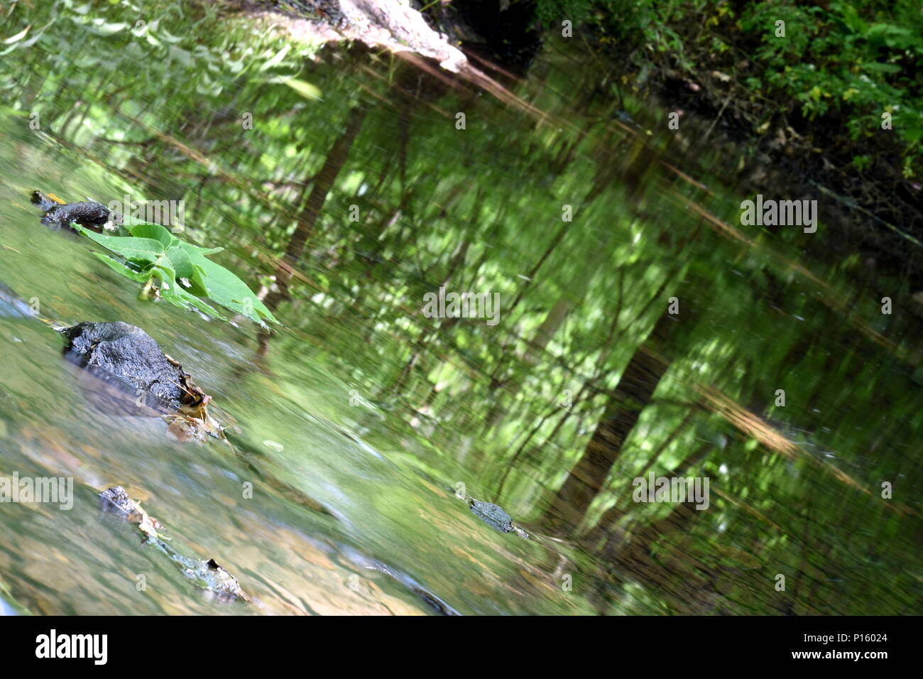 Slow creek hi-res stock photography and images - Alamy