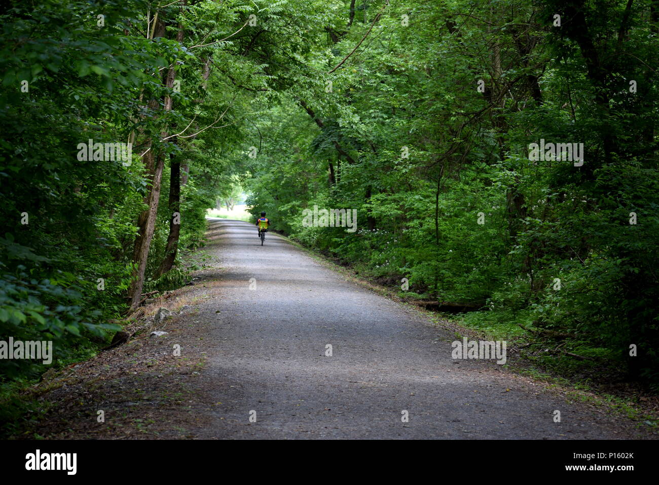 Shady pathway hi-res stock photography and images - Alamy