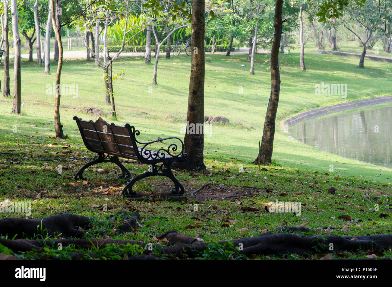 Tulip garden seating hi-res stock photography and images - Alamy