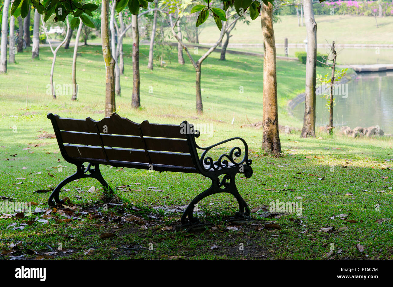Tulip garden seating hi-res stock photography and images - Alamy