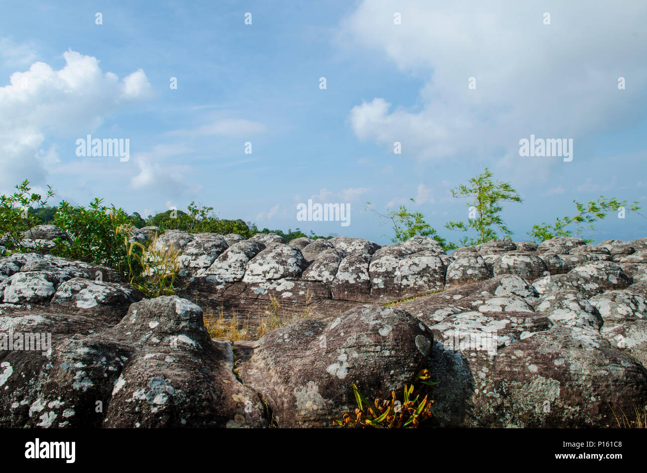 Landscape with rock in forest Stock Photo - Alamy