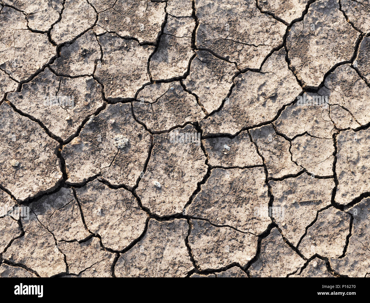details of Dry cracked soil Stock Photo - Alamy