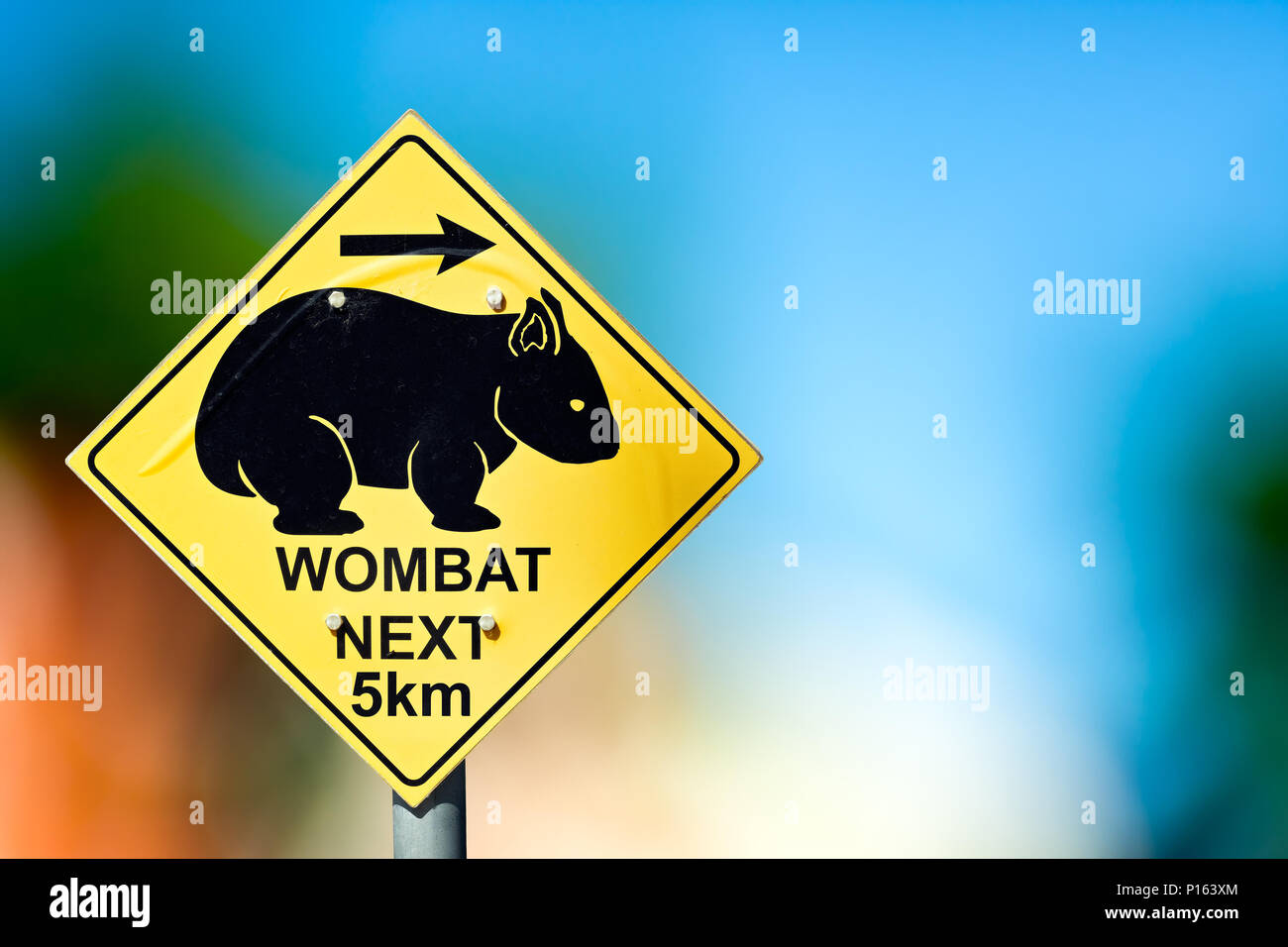 Wombat warning sign hi-res stock photography and images - Alamy