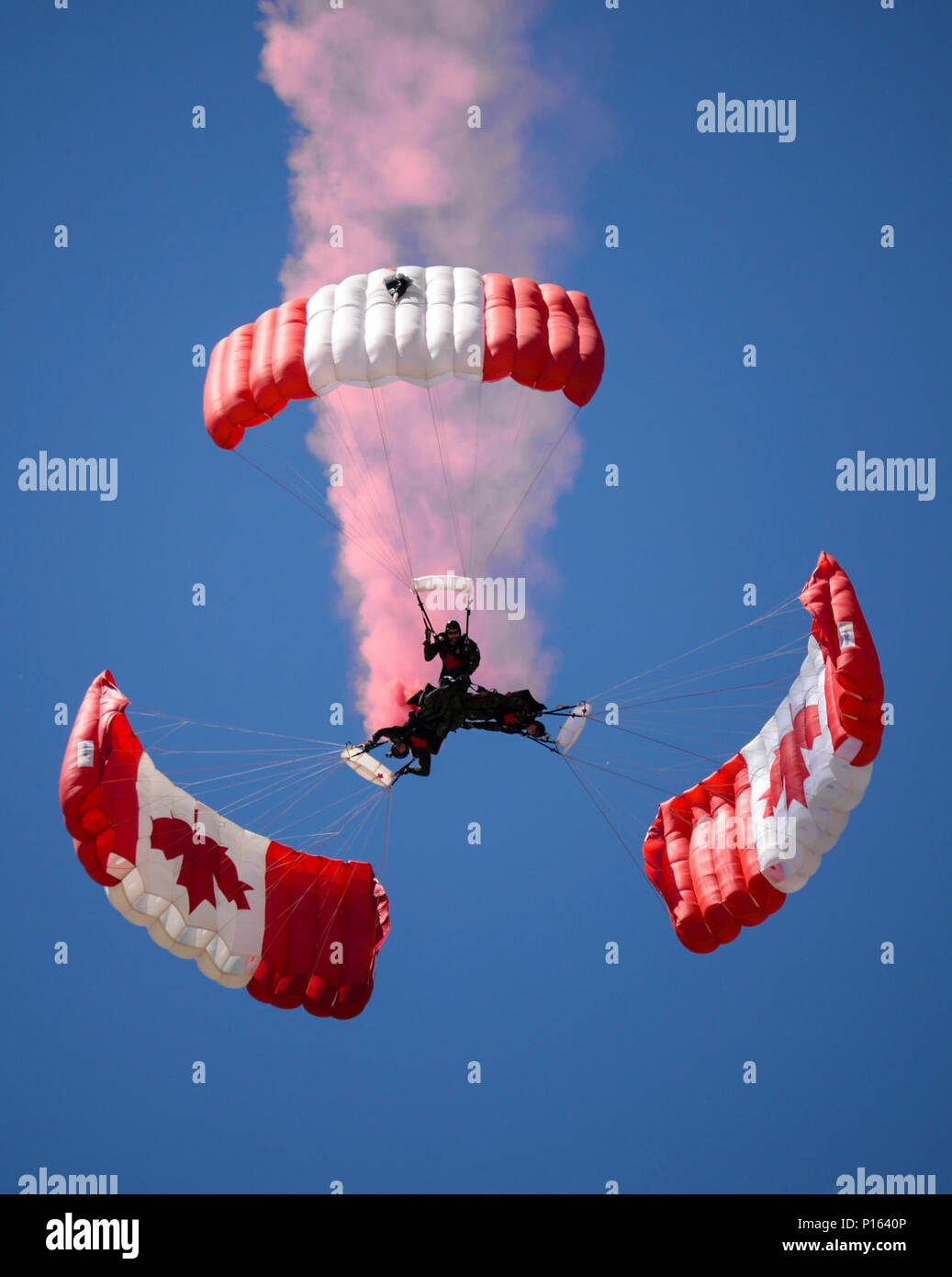 The Skyhawks, the Canadian armed forces parachute team, perform for ...