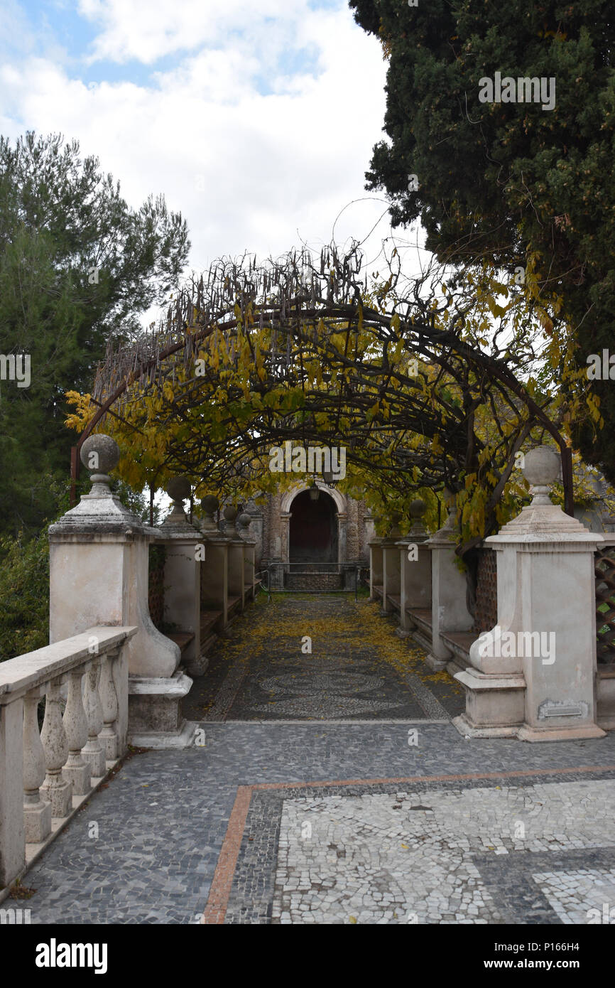 Grape vine covered pathway near the Fountain of the Organ, Villa D'Este ...