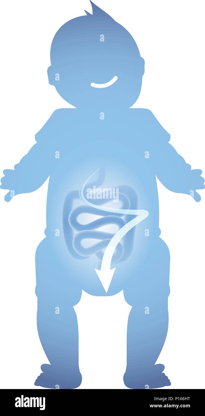 Abstract illustration of a healthy baby intestine. Normal digestion of ...