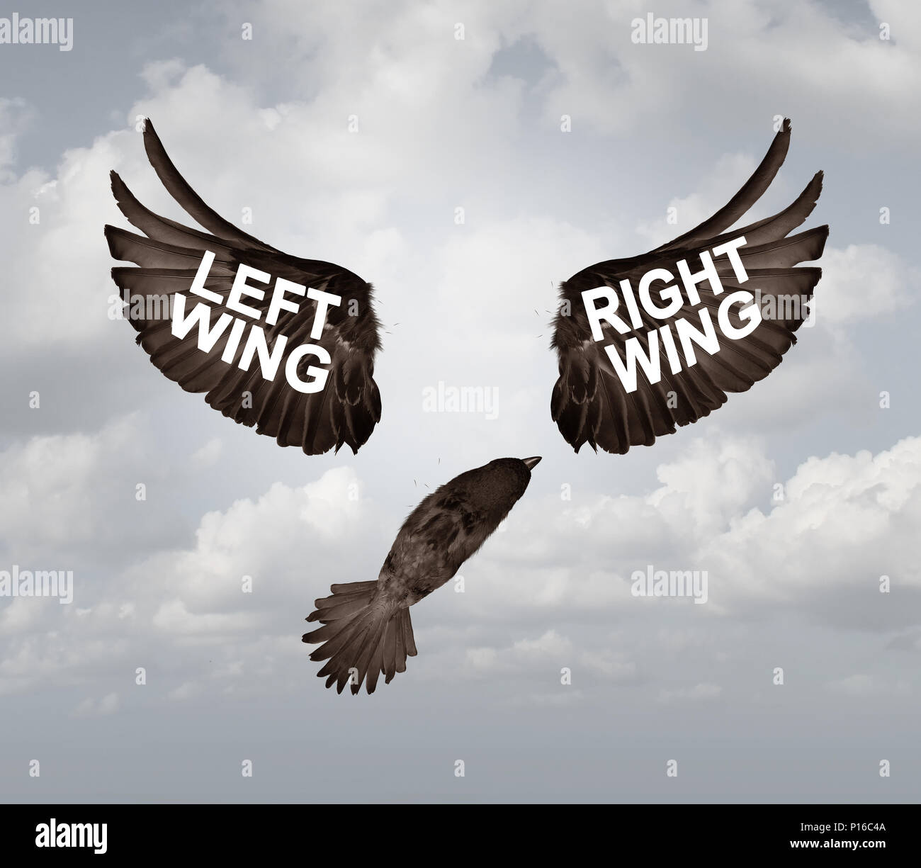 Political crisis as a destructive right wing and left wing political ...