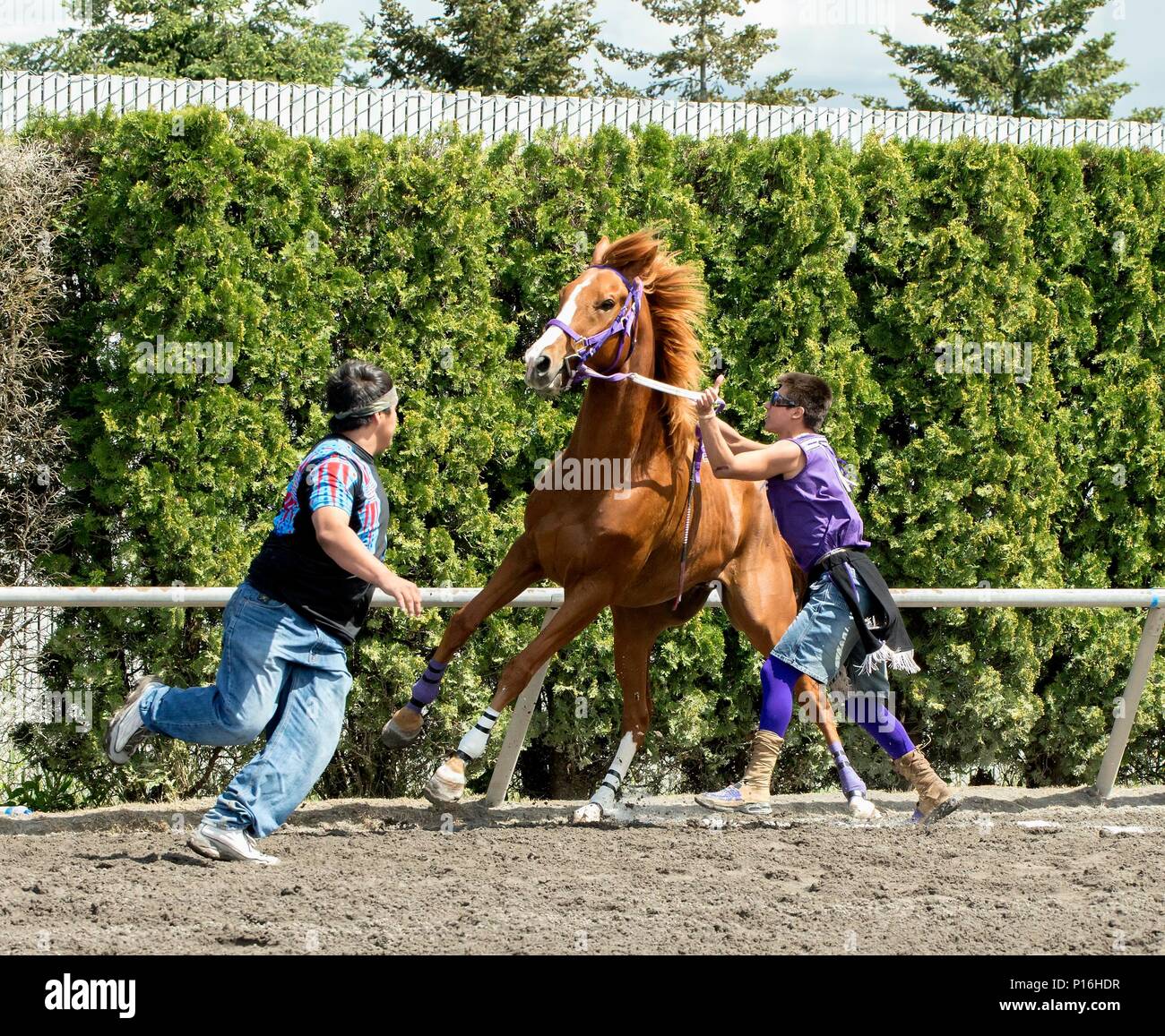 Northern plains indian tribes hi-res stock photography and images - Alamy