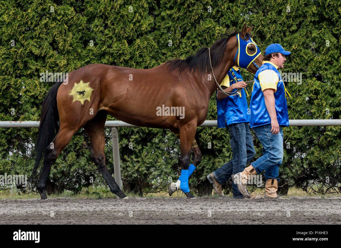 Riders relays hi-res stock photography and images - Alamy