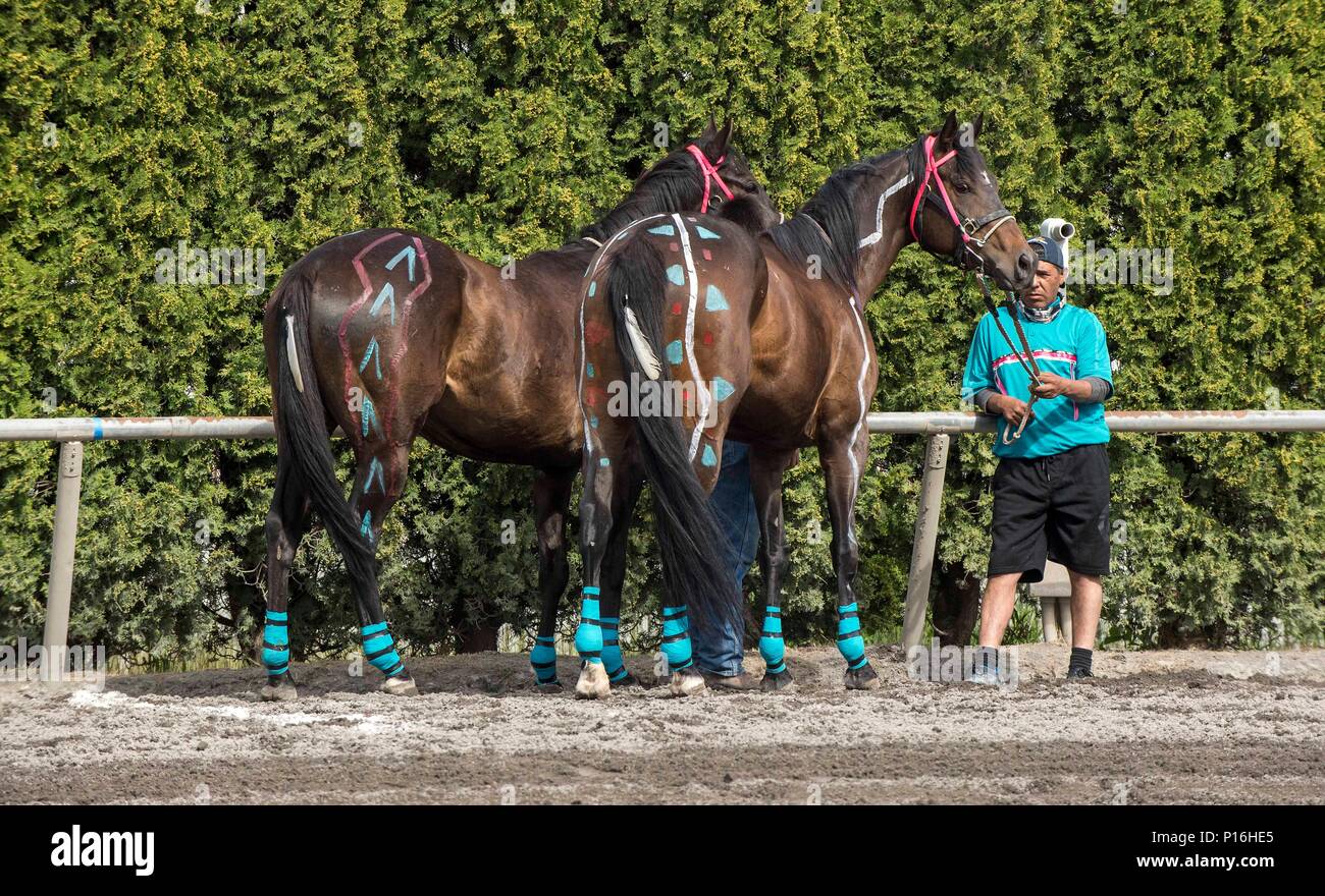 Northern plains indian tribes hi-res stock photography and images - Alamy