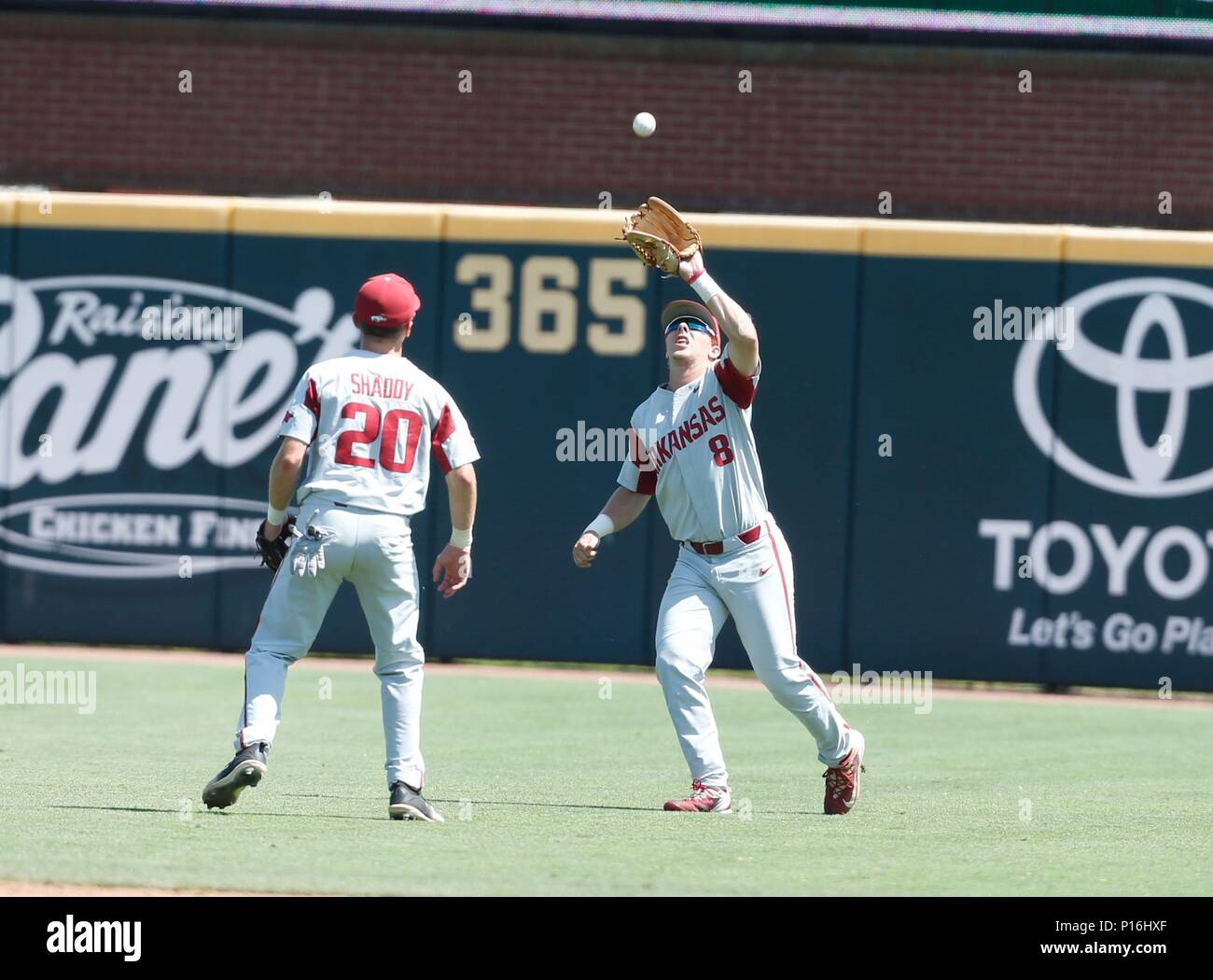 Jun 10, 2018: Eric Cole #8 Arkansas right fielder moves in under a fly ...