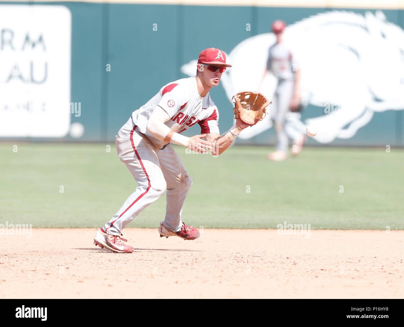 Jun 10, 2018: Casey Martin #15 Razorback third baseman .eyes a bouncing ...