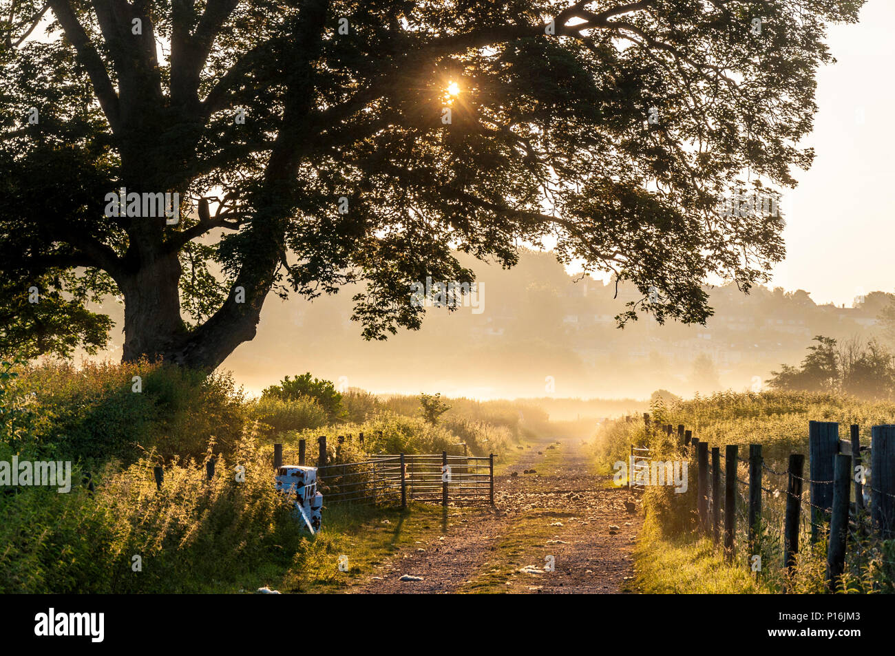 Bathampton meadows river hi-res stock photography and images - Alamy