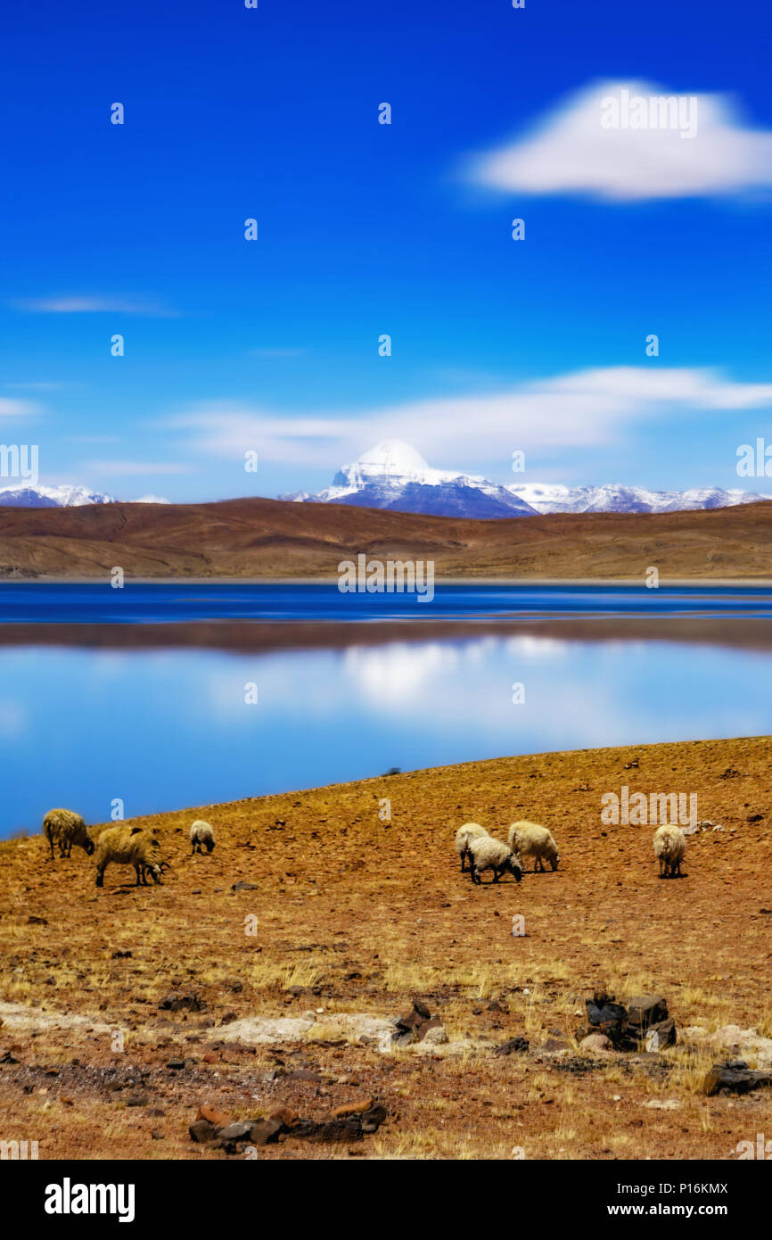 June 11, 2018 - Ali, Ali, China - Ali, CHINA-Scenery of Ali Area in ...