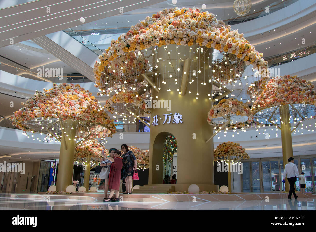 Shanghai, Shanghai, China. 11th June, 2018. Shanghai, CHINA- A giant ...