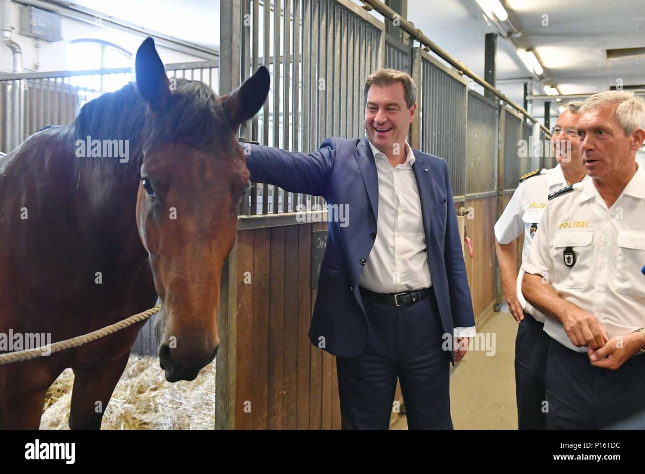 Markus SOEDER (Minister President Bavaria) with police horse Orion in ...
