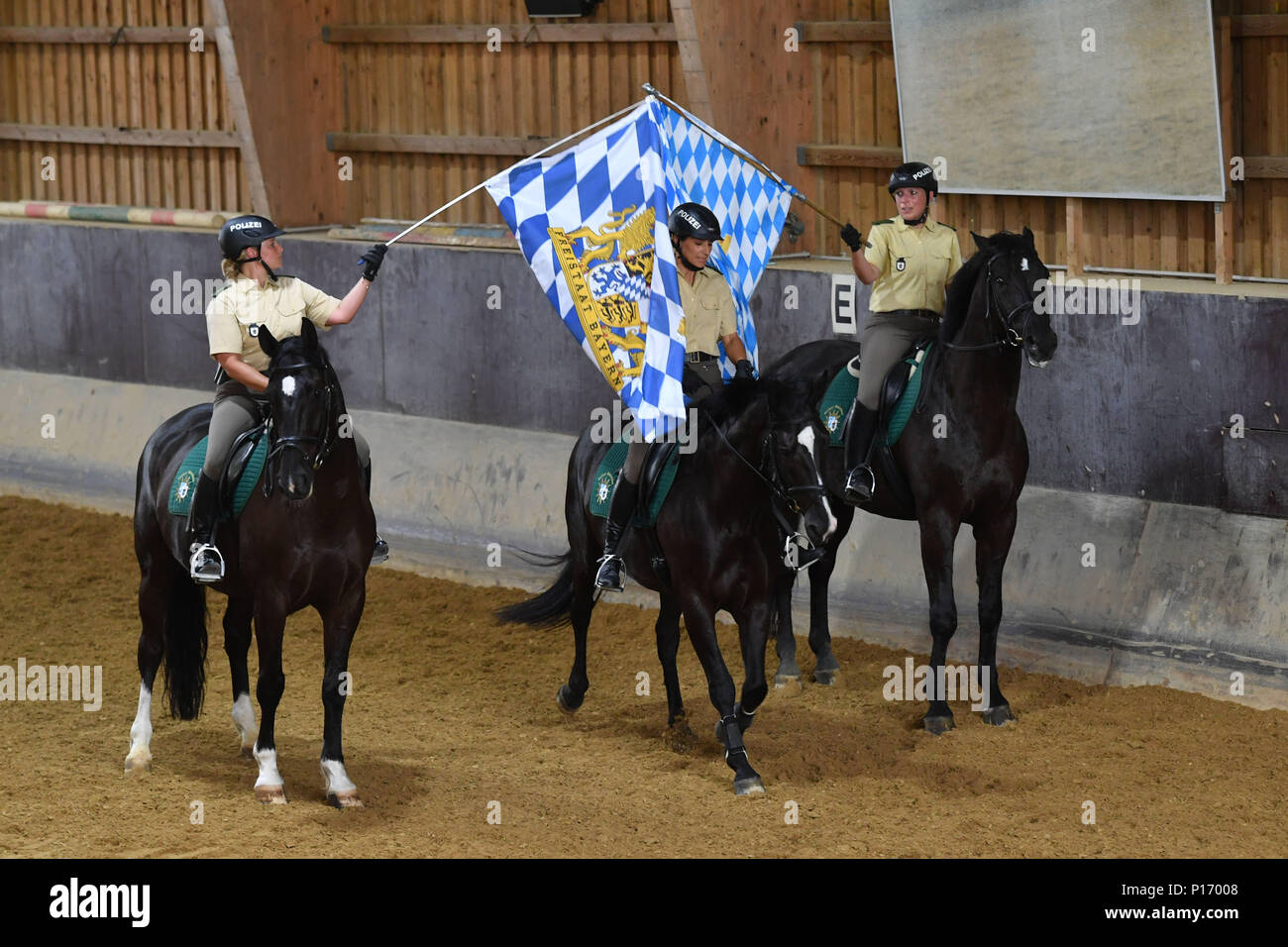 Mounted policemen, police squad on horses during training, exercise ...