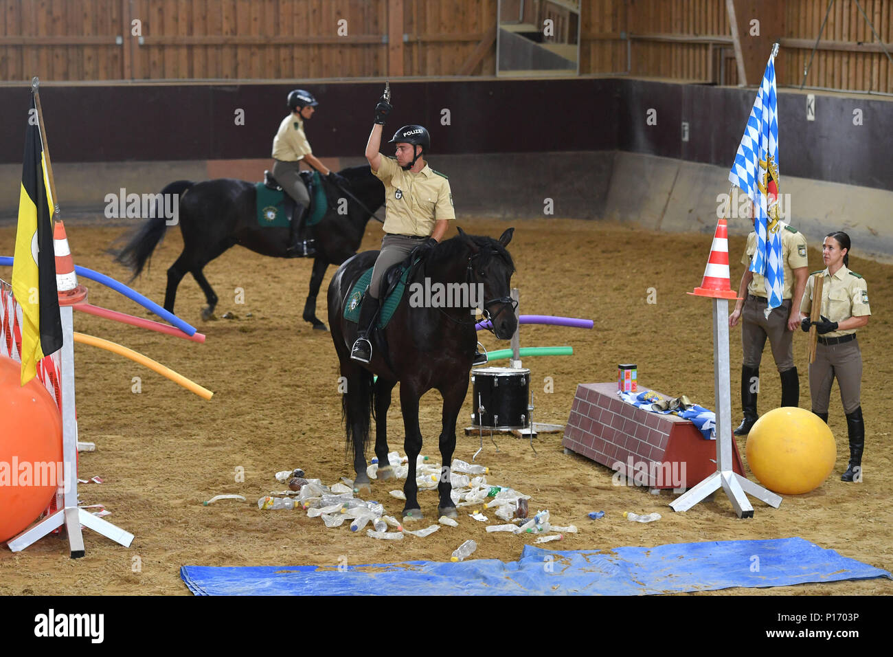 Mounted policemen, police squad on horses during training, exercise ...