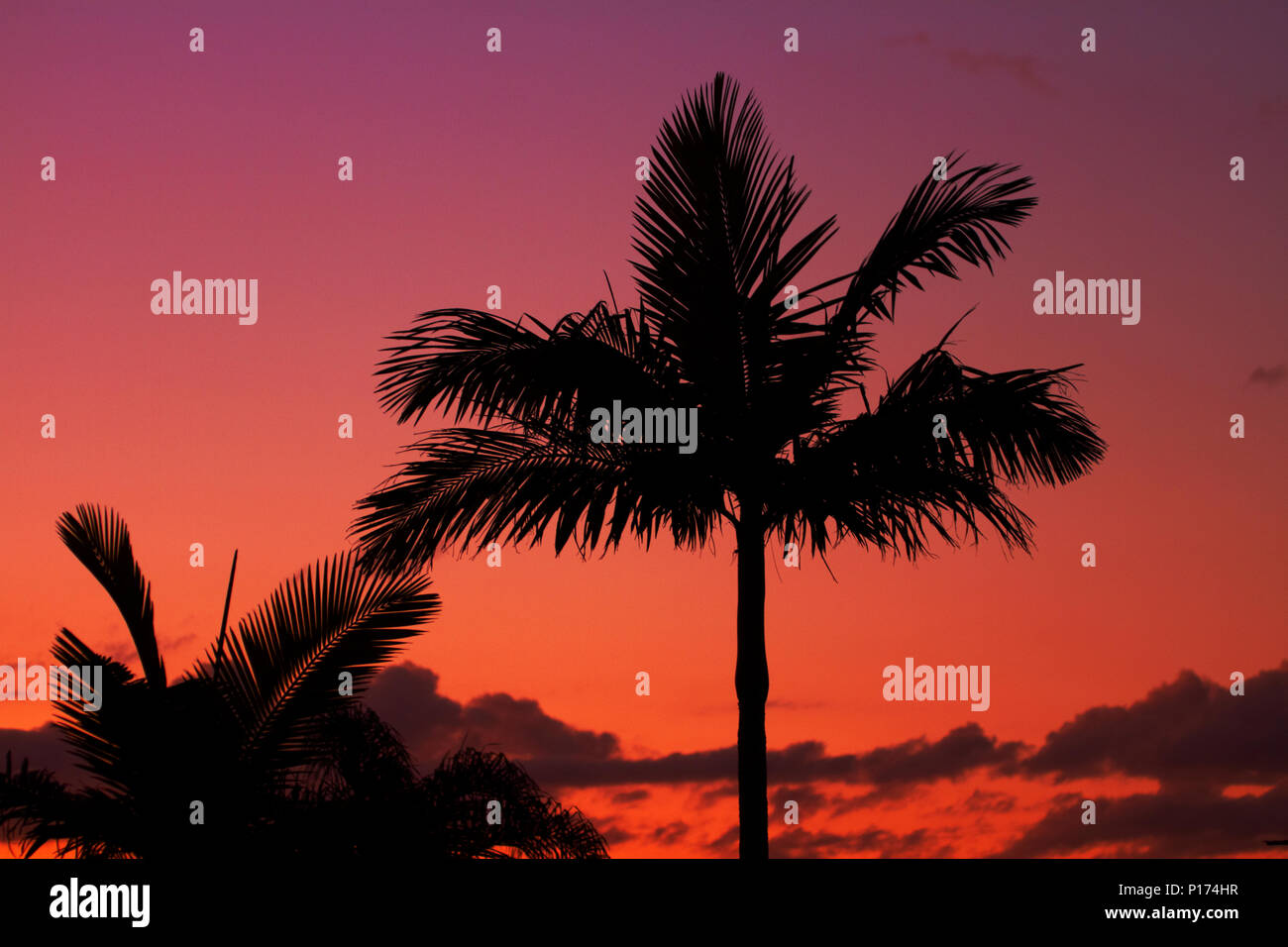 Queensland sunset hi-res stock photography and images - Alamy