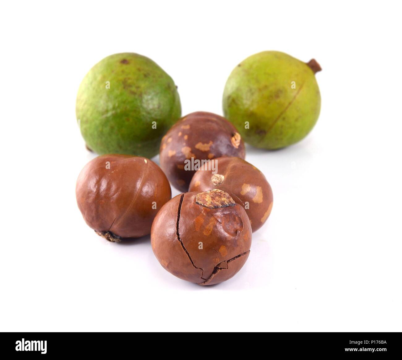 macadamia nuts on white background Stock Photo - Alamy