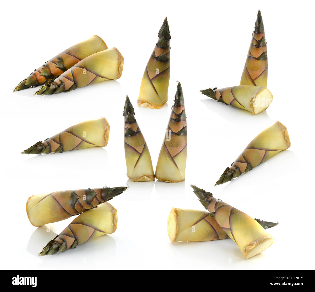 Bamboo shoot Cut Out Stock Images & Pictures - Alamy
