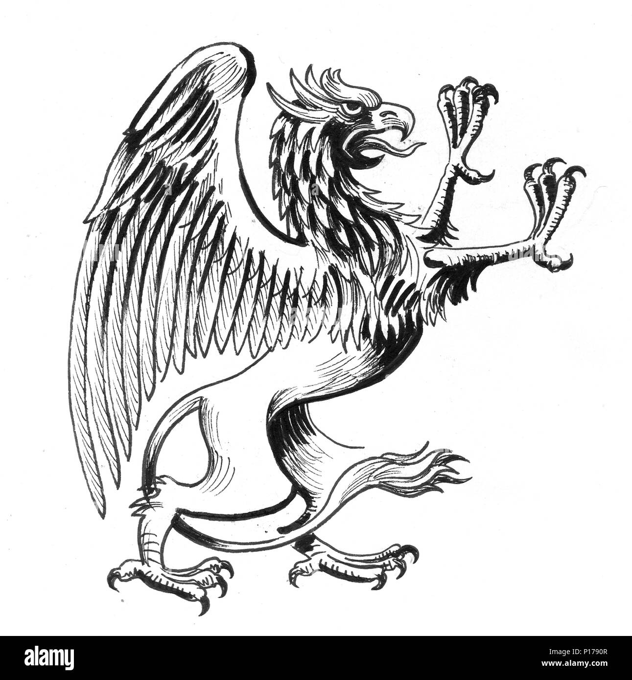 Heraldic griffin. Ink black and white illustration Stock Photo - Alamy