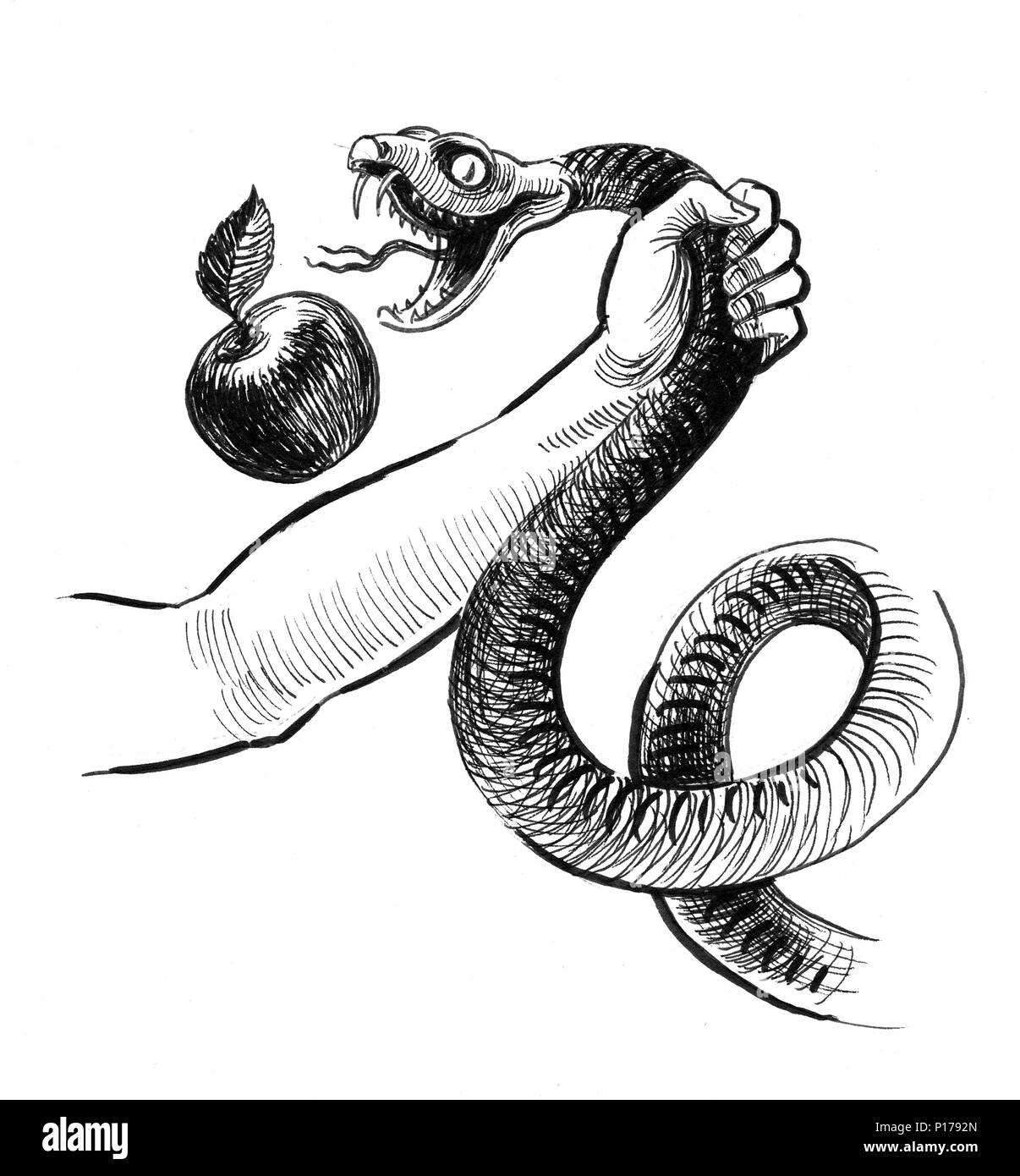 Snake And Apple Symbolism