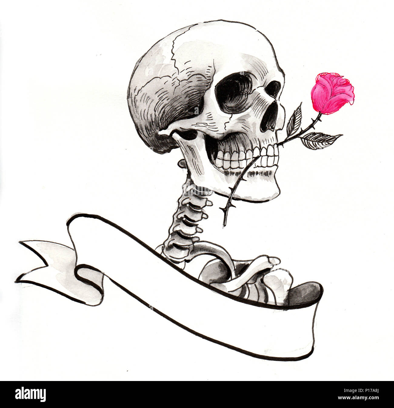 Skeleton with a red rose in his teeth Stock Photo - Alamy