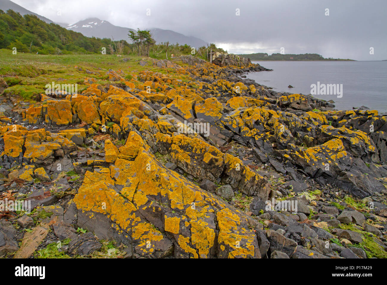 Navarino island chile hi-res stock photography and images - Alamy