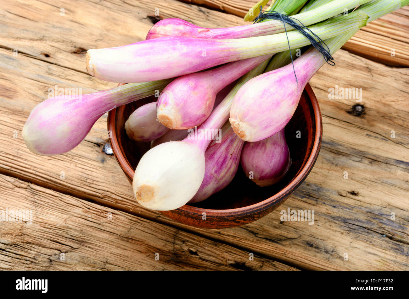 Spring harvest of fresh onions.Green onion.Onions for cooking Stock ...