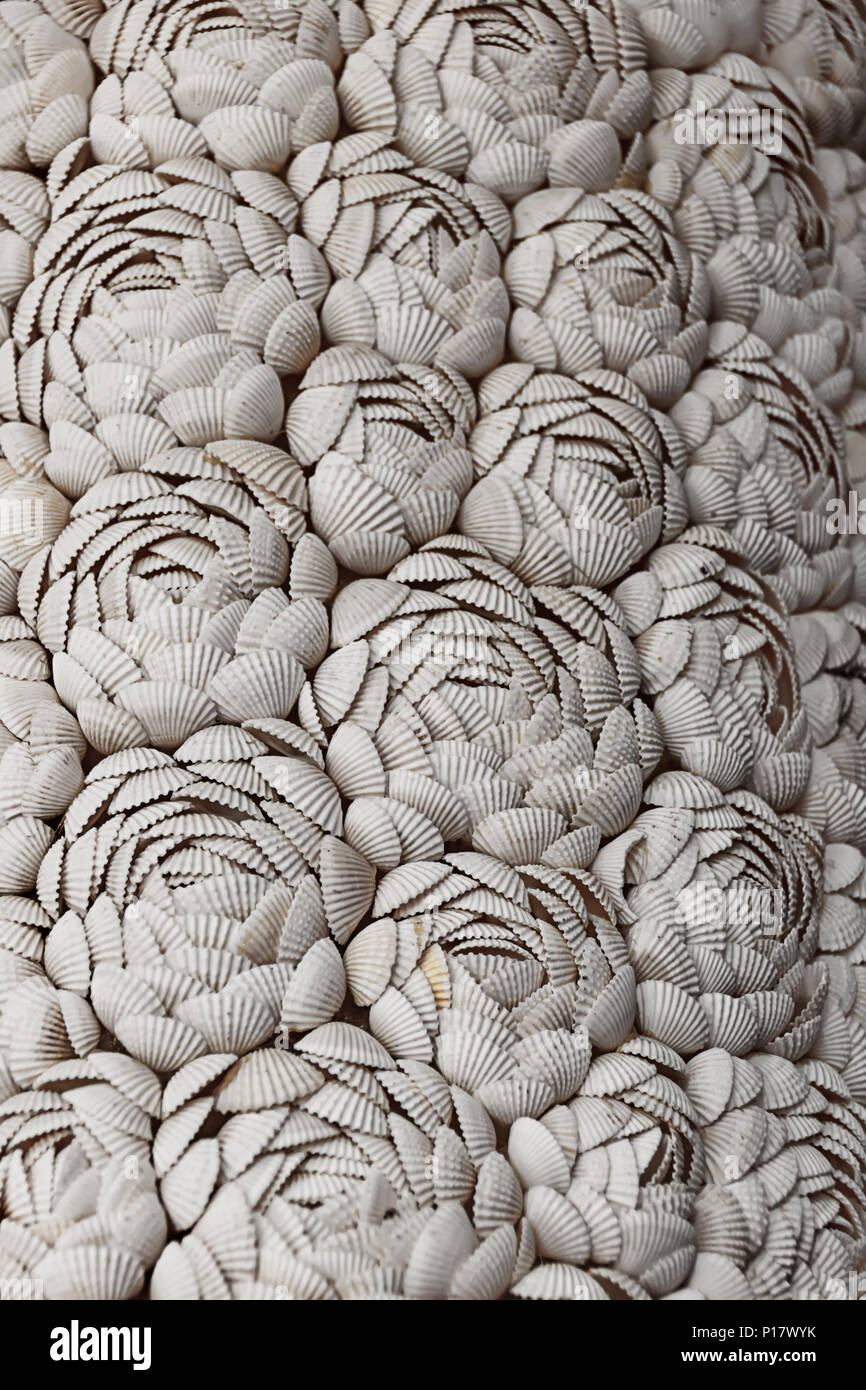 Collected shells hi-res stock photography and images - Alamy