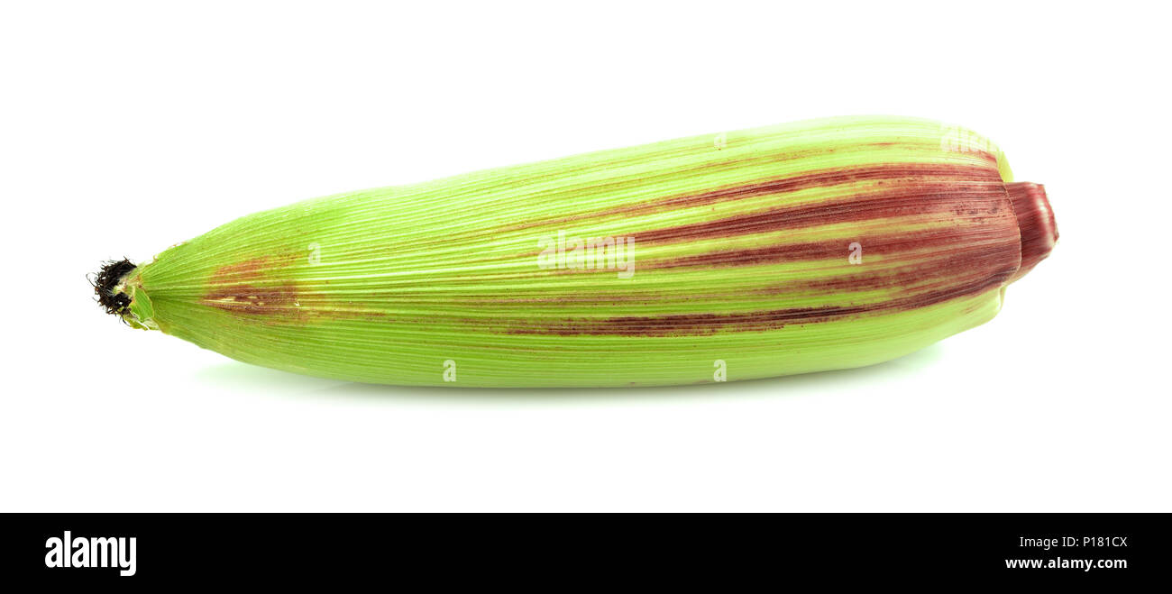 Purple corn fresh close hi-res stock photography and images - Alamy