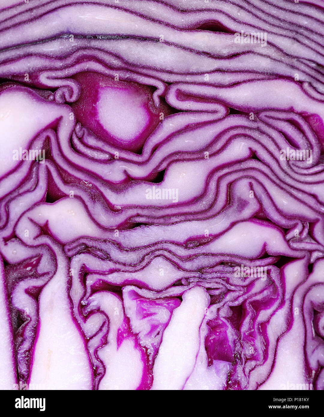 Red Cabbage background. Red cabbage pattern closeup Stock Photo - Alamy