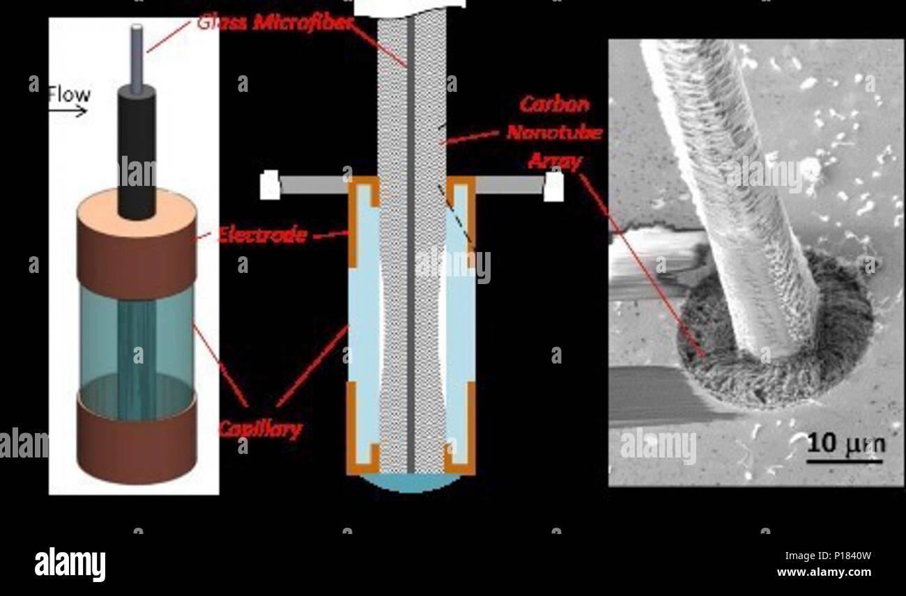 The components of a scanning electron microscope hi-res stock ...